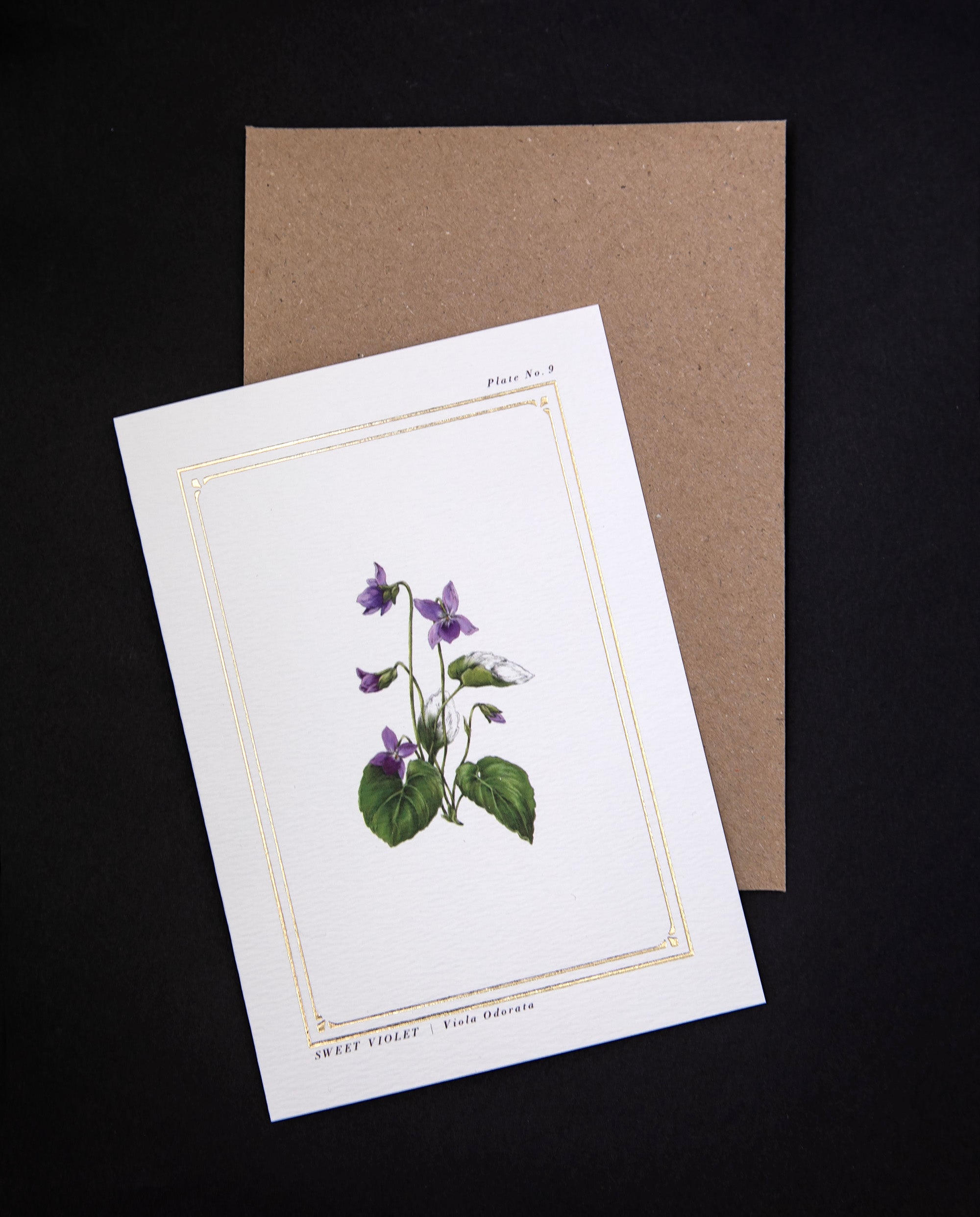 Sweet Violet Greeting Card | CATHERINE LEWIS DESIGN